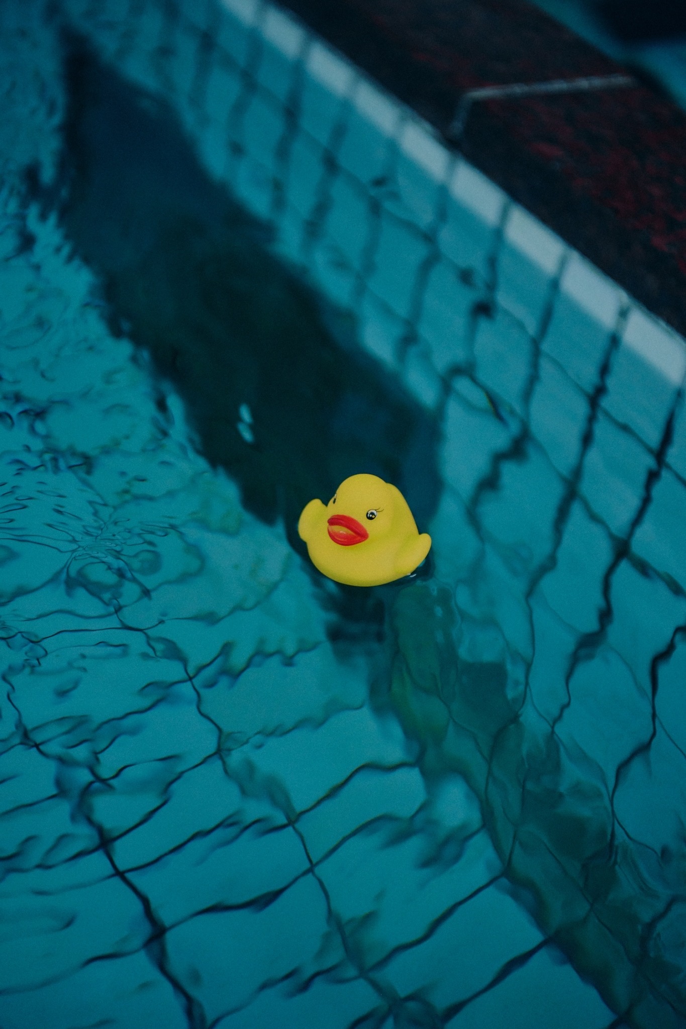 『撮影』 | ニコブログ | COLUMN 連載 | ニコアンド（niko and ... ）オフィシャルブランドサイト