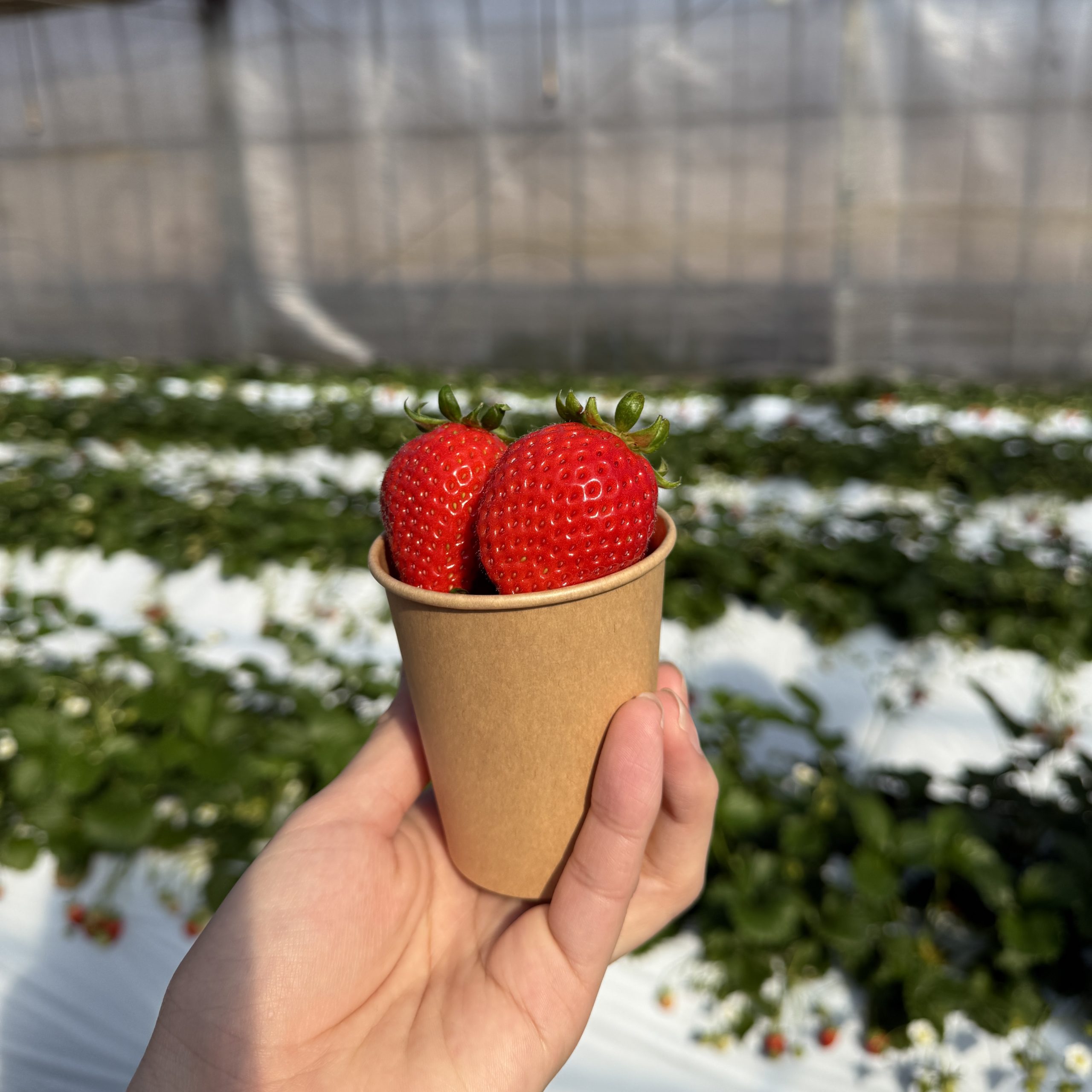 休日のこと | ニコブログ | COLUMN 連載 | ニコアンド（niko and ... ）オフィシャルブランドサイト