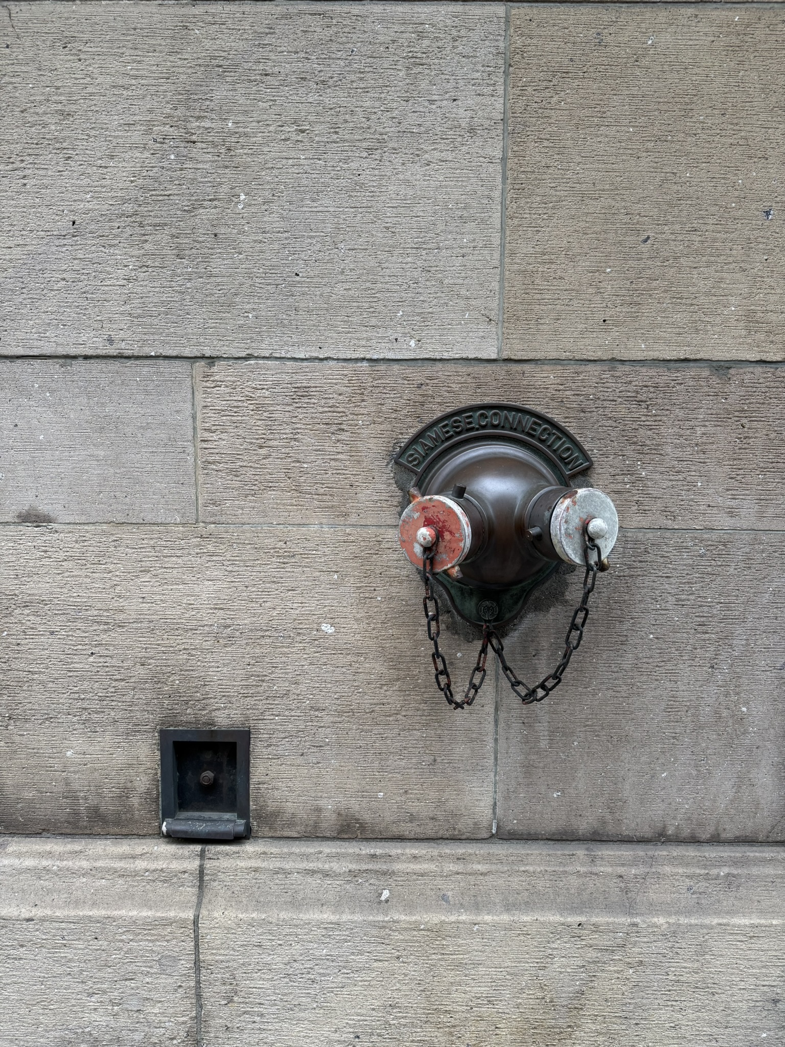 『散策』 | ニコブログ | COLUMN 連載 | ニコアンド（niko and ... ）オフィシャルブランドサイト